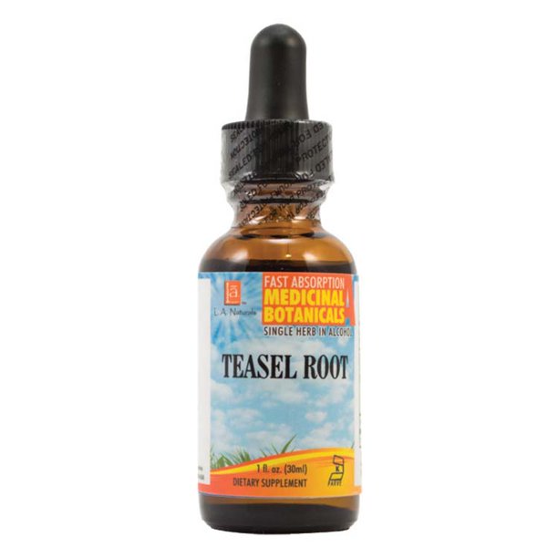 Teasel Root – Good Health Herbs